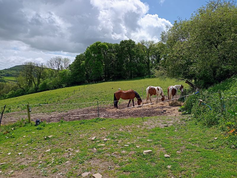 Photos of Llanedi, Pontarddulais, Swansea SA4 - 61853577 | PrimeLocation