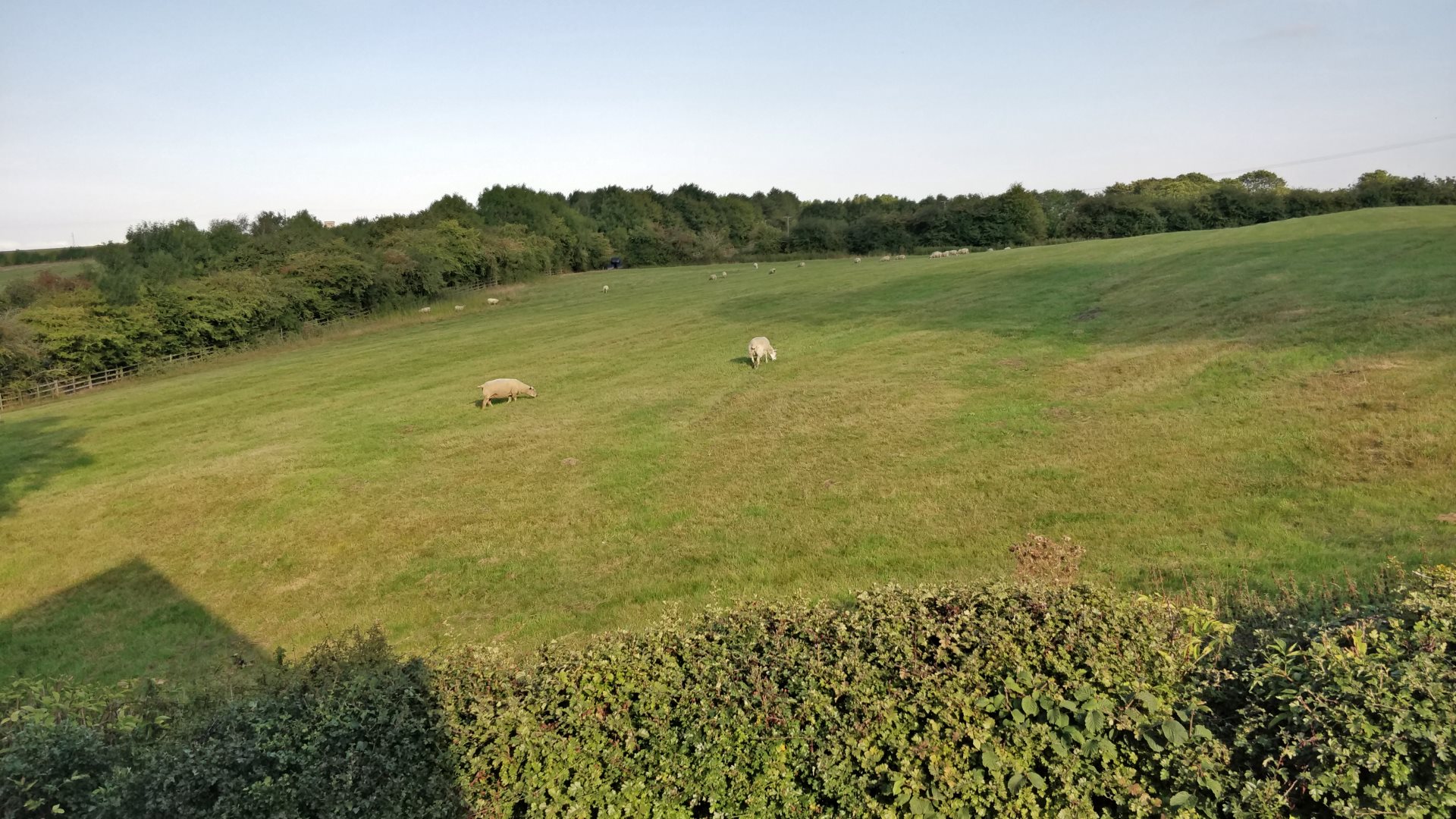 Photos of Coplow Lane, Billesdon, Leicester, Leicestershire LE7 ...