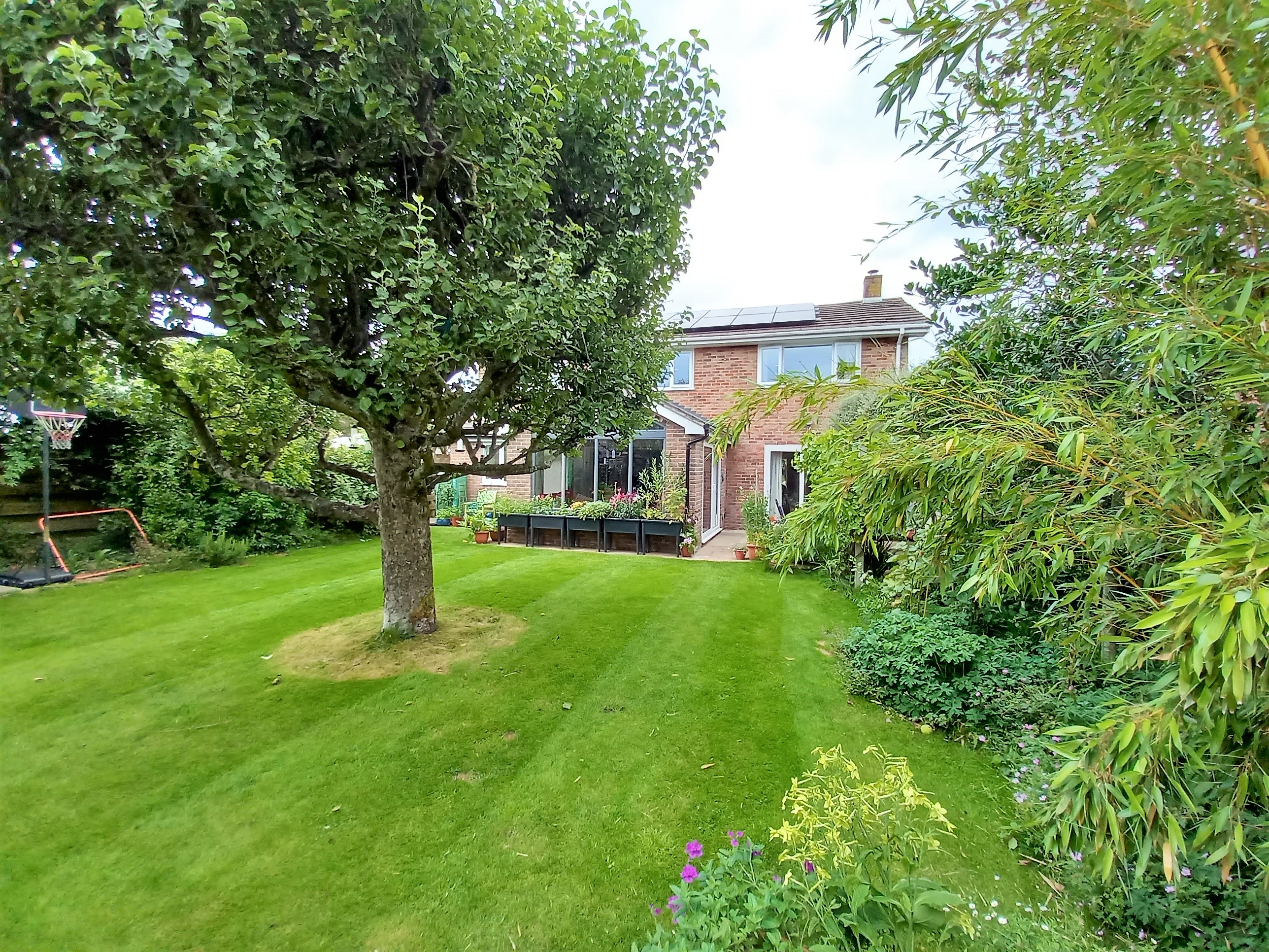 Free property report 29 Kimbers, Petersfield, GU32 2JL - Chimnie